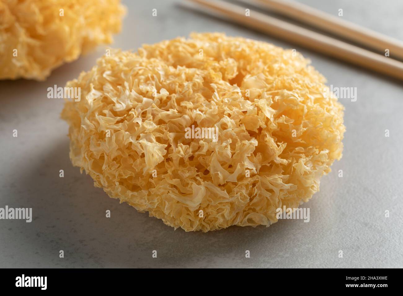 Whole dried white fungus close up Stock Photo - Alamy