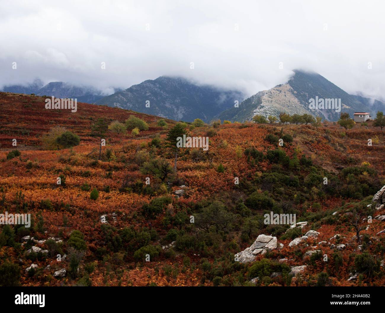 tops of mountain landscape in Europe Greece Taygetus Stock Photo - Alamy