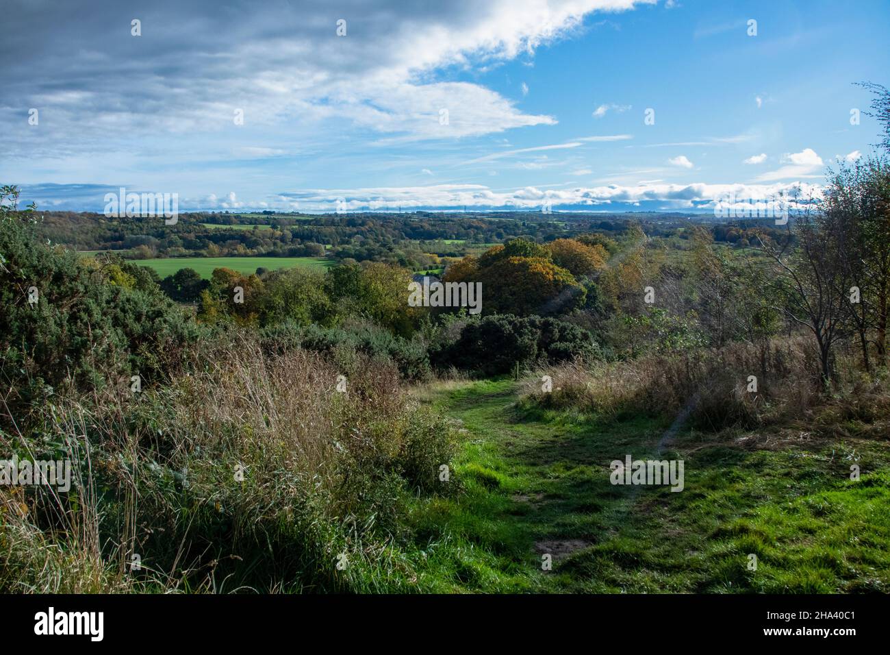 Wear valley hi-res stock photography and images - Alamy