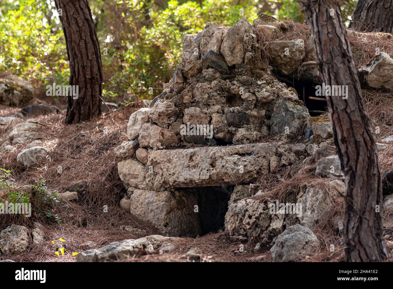 ruins of an ancient roman tomb overgrown with forest Stock Photo - Alamy
