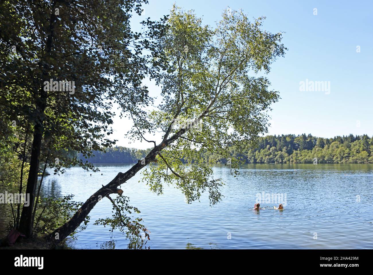 Steinsee, Moosach, Upper Bavaria, Bavaria, Germany Stock Photo - Alamy