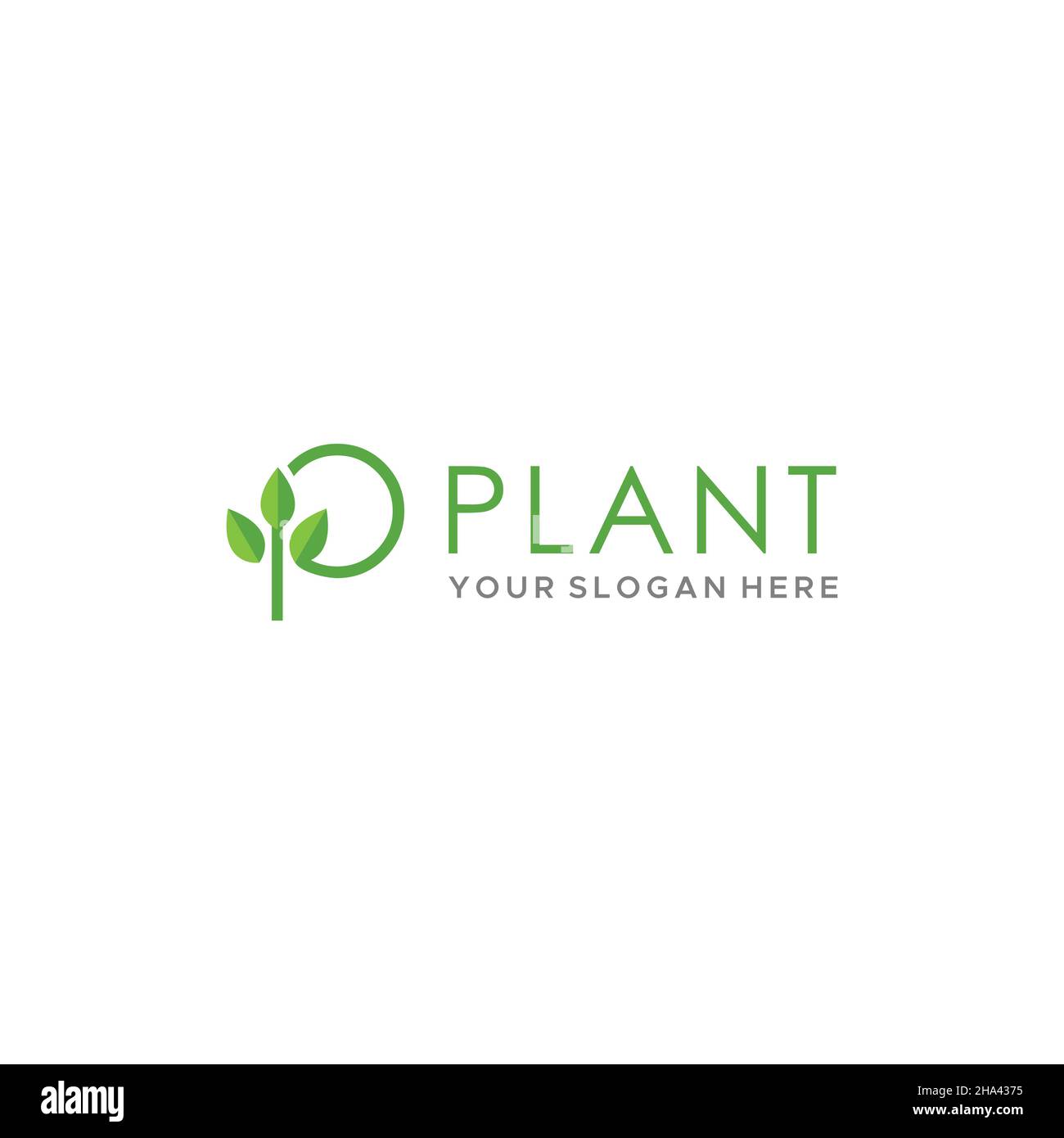 Flat letter mark initial P PLANT leaf logo design Stock Vector Image ...