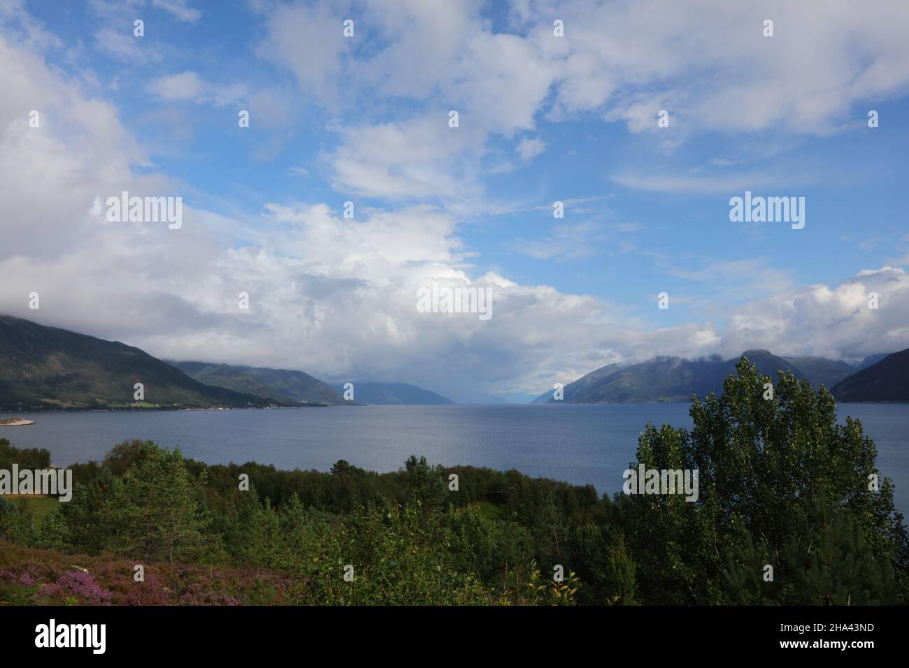 Ozean und wald hi-res stock photography and images - Alamy
