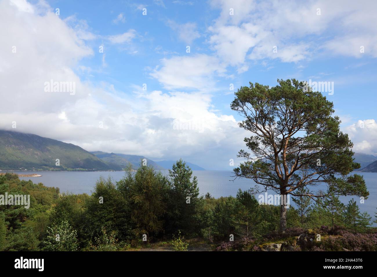 Norwegen - Sognefjord bei Nordrevik und Vadheim / Norway - Sognefjorden ...