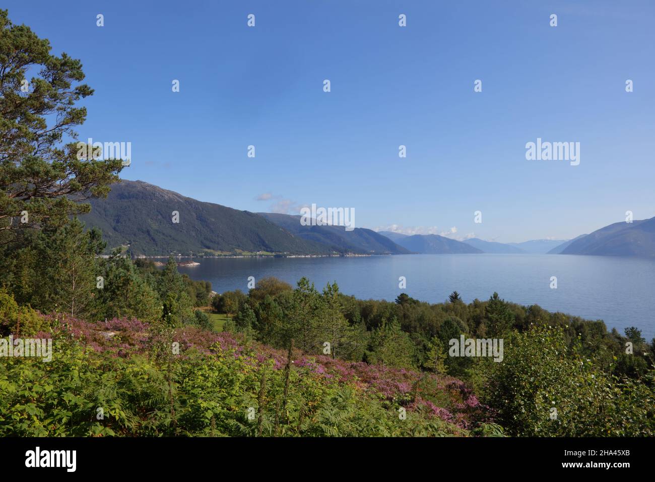 Norwegen - Sognefjord bei Nordrevik und Vadheim / Norway - Sognefjorden ...