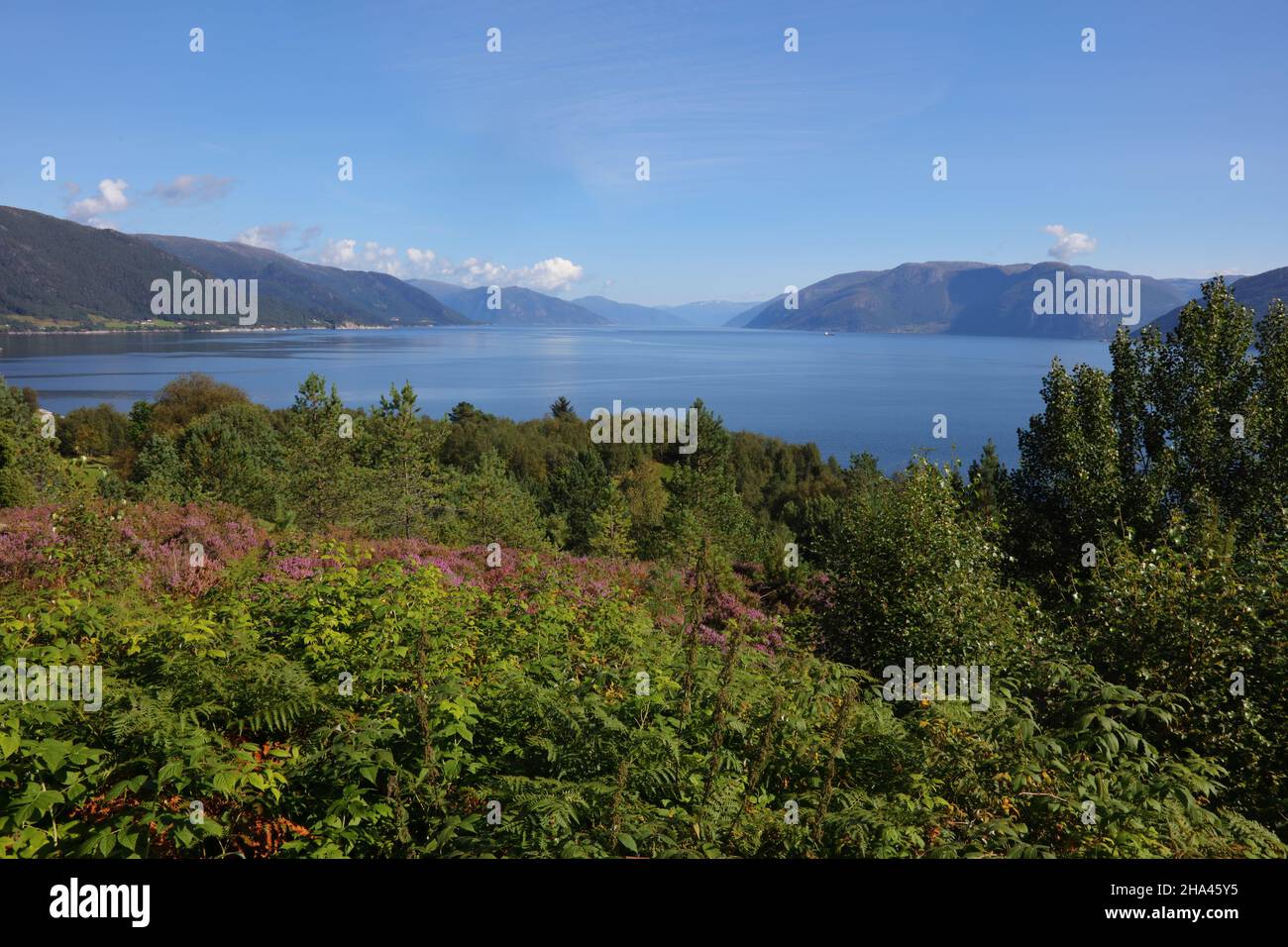 Norwegen - Sognefjord bei Nordrevik und Vadheim / Norway - Sognefjorden ...