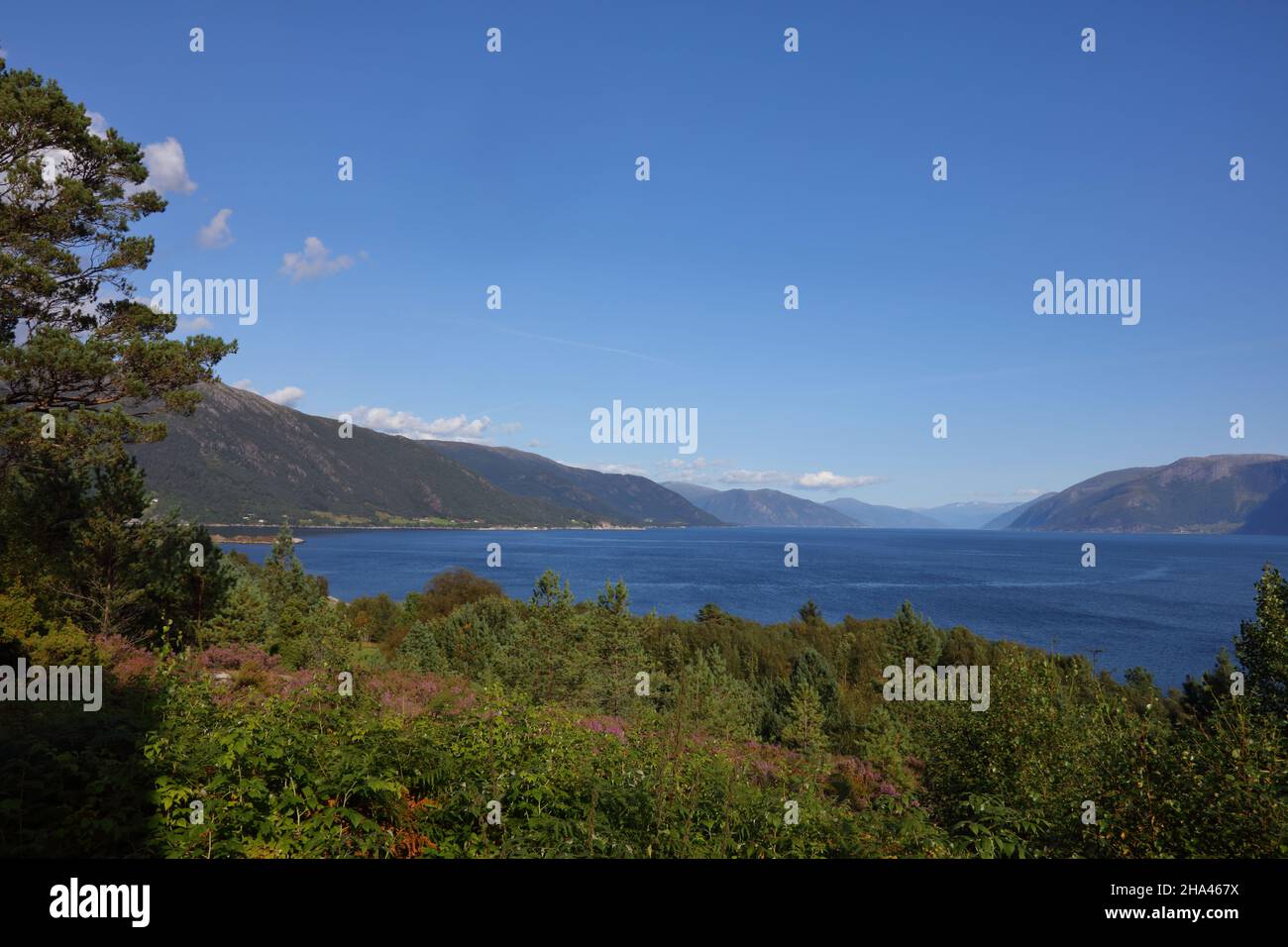 Ozean und wald hi-res stock photography and images - Alamy