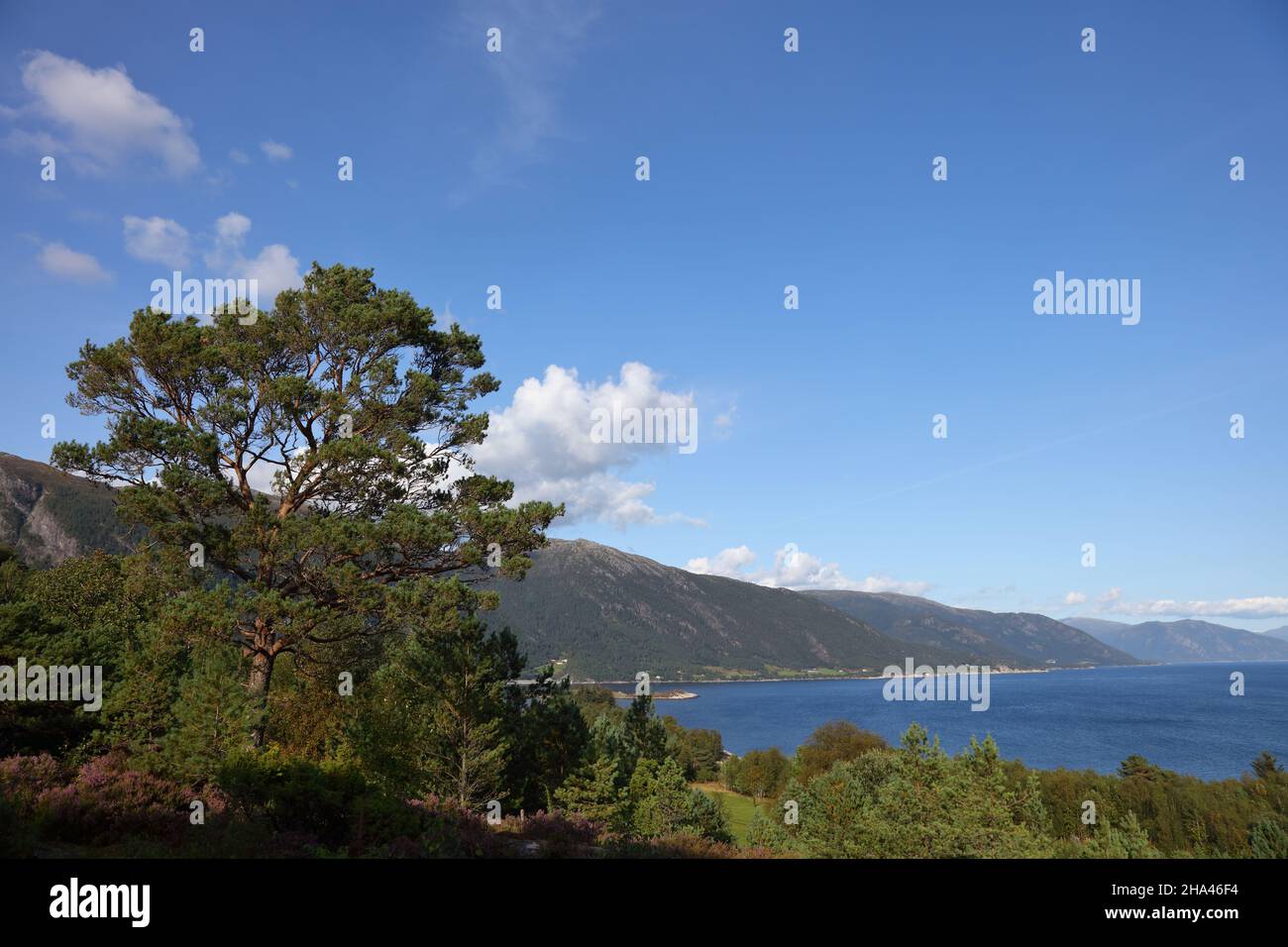 Norwegen - Sognefjord bei Nordrevik und Vadheim / Norway - Sognefjorden ...