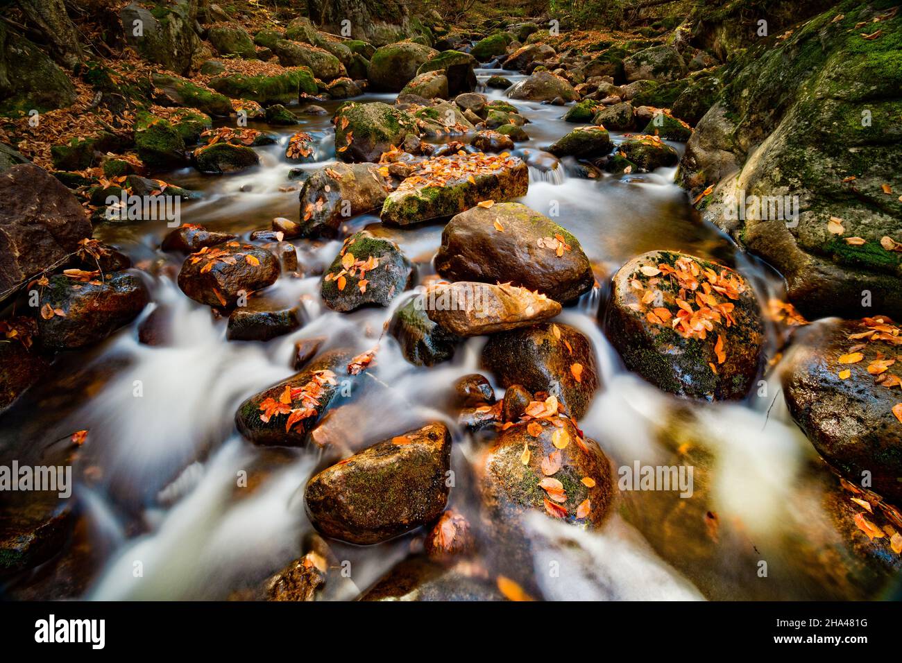 Nice and peaceful river and waterfalls, flowing during Fall between the ...
