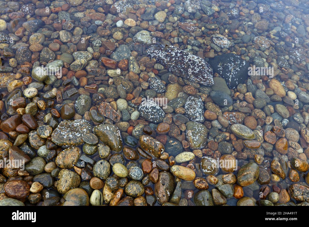 Stein steine kiesel kieselstein kieselsteine hi-res stock photography ...