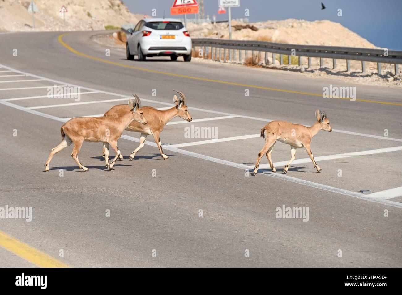 Sea crossing road hi-res stock photography and images - Alamy