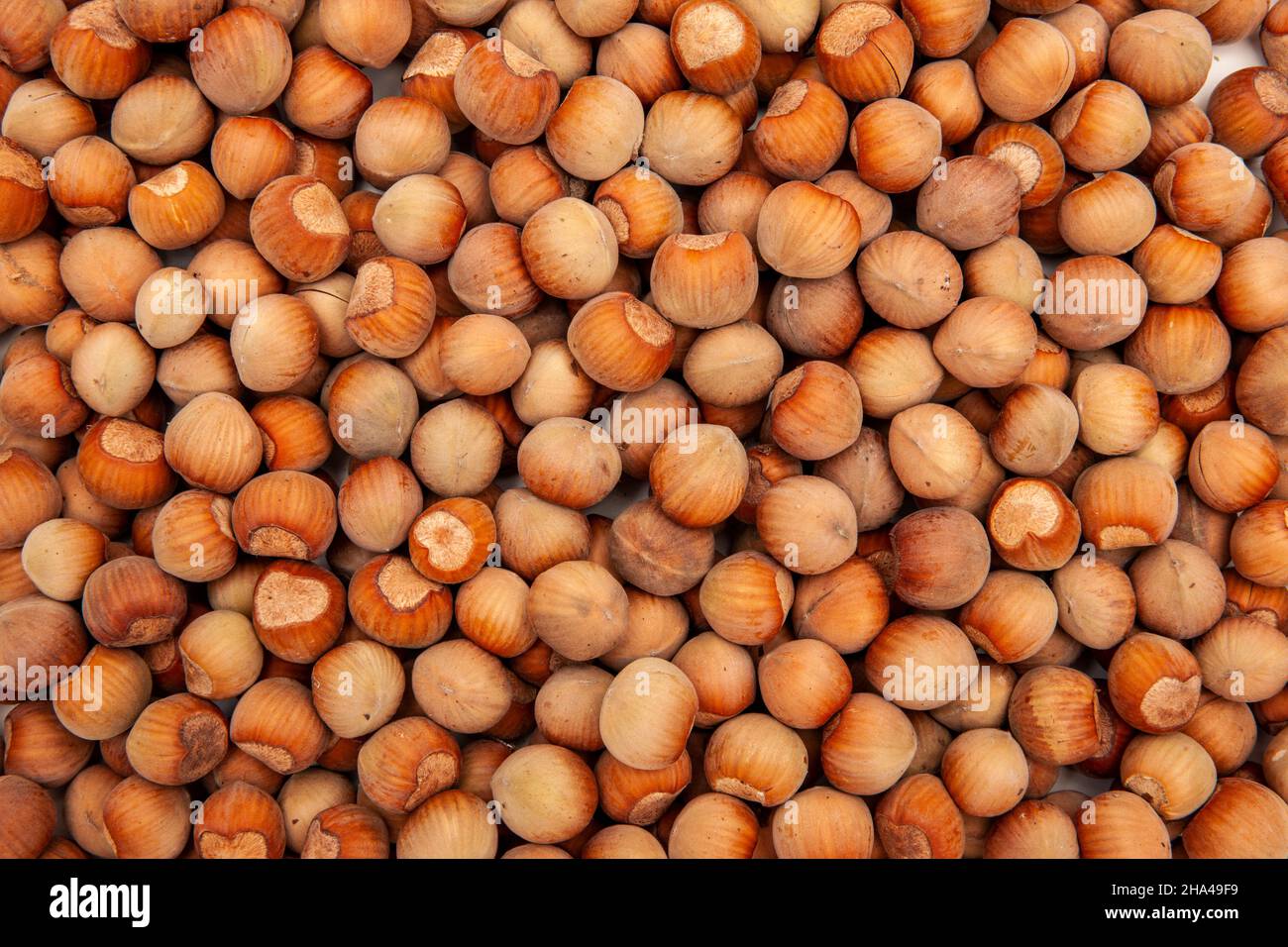 Wild hazelnuts hi-res stock photography and images - Alamy