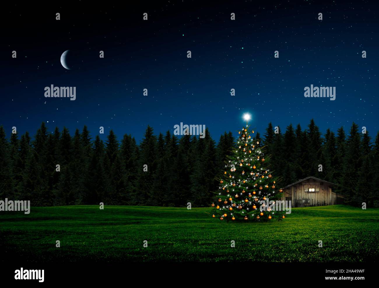 Decorated tree in forest hi-res stock photography and images - Alamy