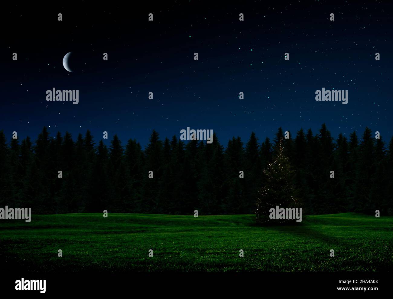 Decorated fir hi-res stock photography and images - Alamy