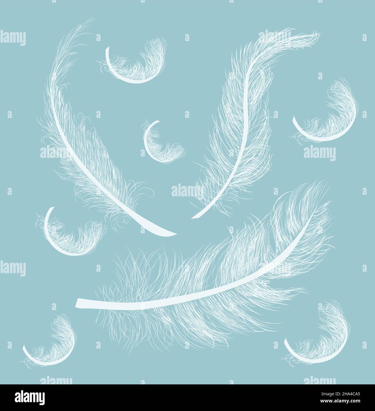 Set of feathers. Translucent patterns on light blue background ...