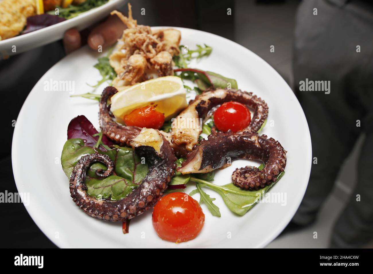 Closeup shot of a tasty cooked Octopus and Calamari in a plate in a man ...