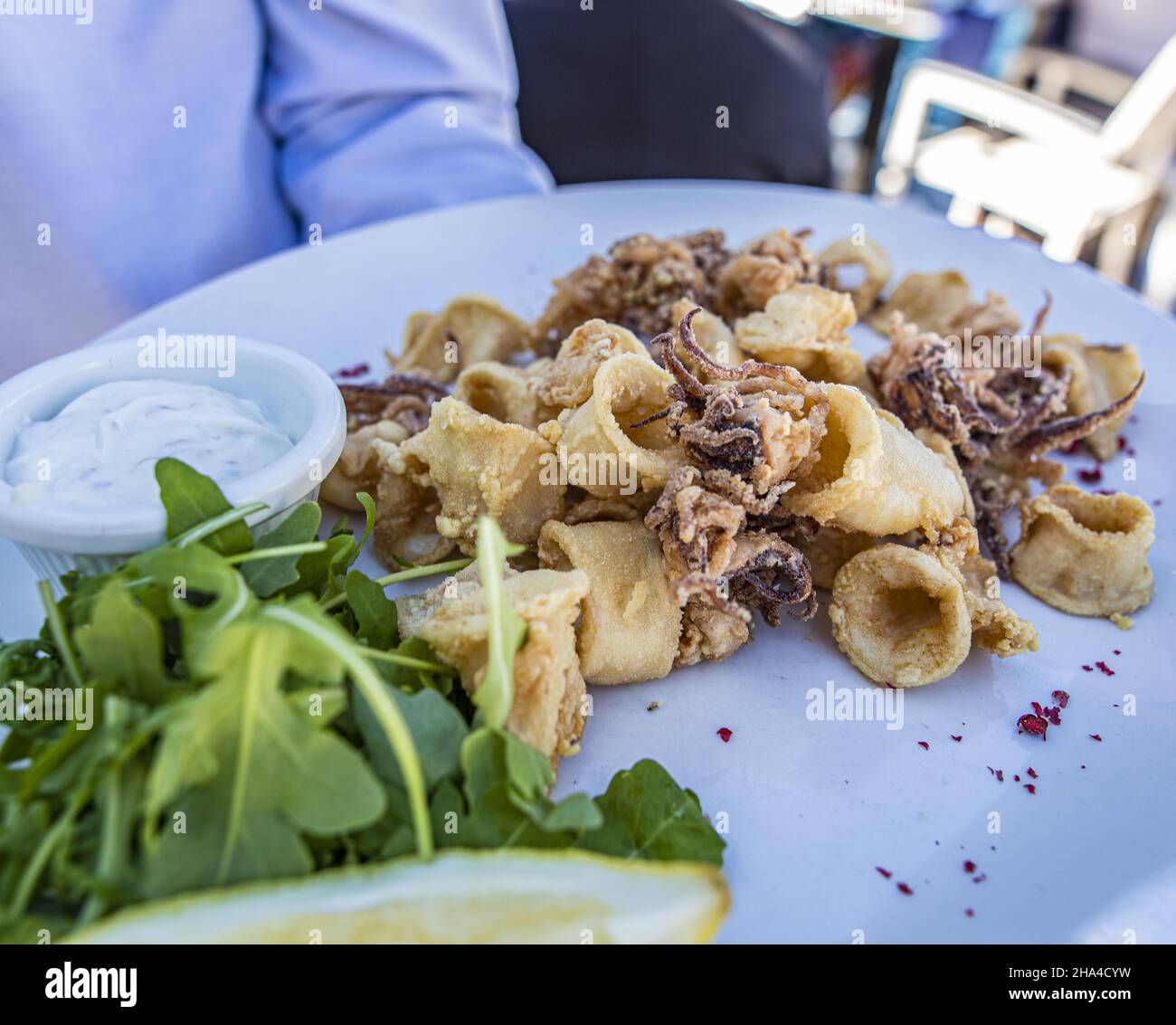 Closeup shot of a tasty cooked Calamari in a plate in a man's hand ...
