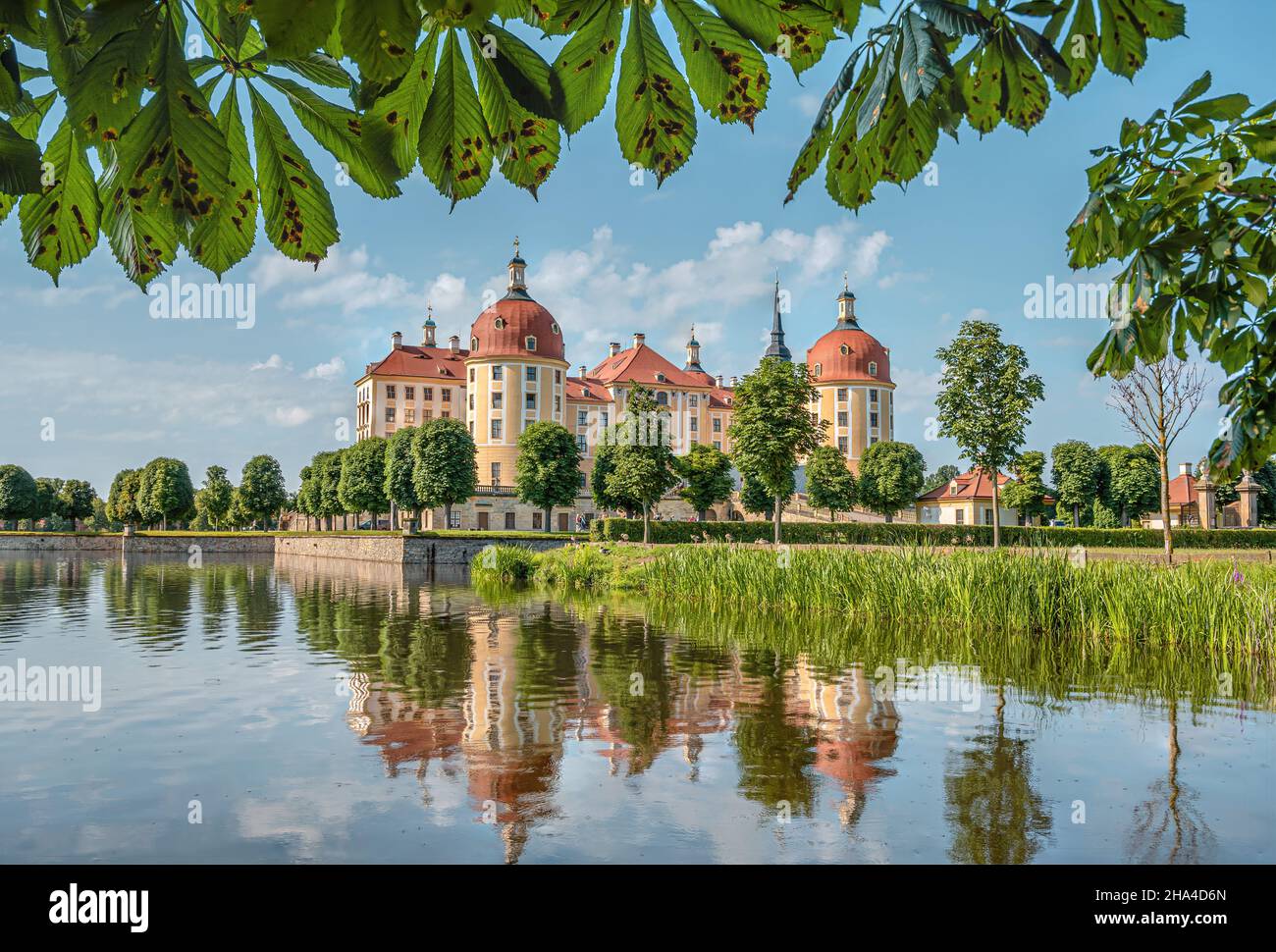 Schloss Moritzburg, a Baroque castle in Moritzburg, near Dresden ...