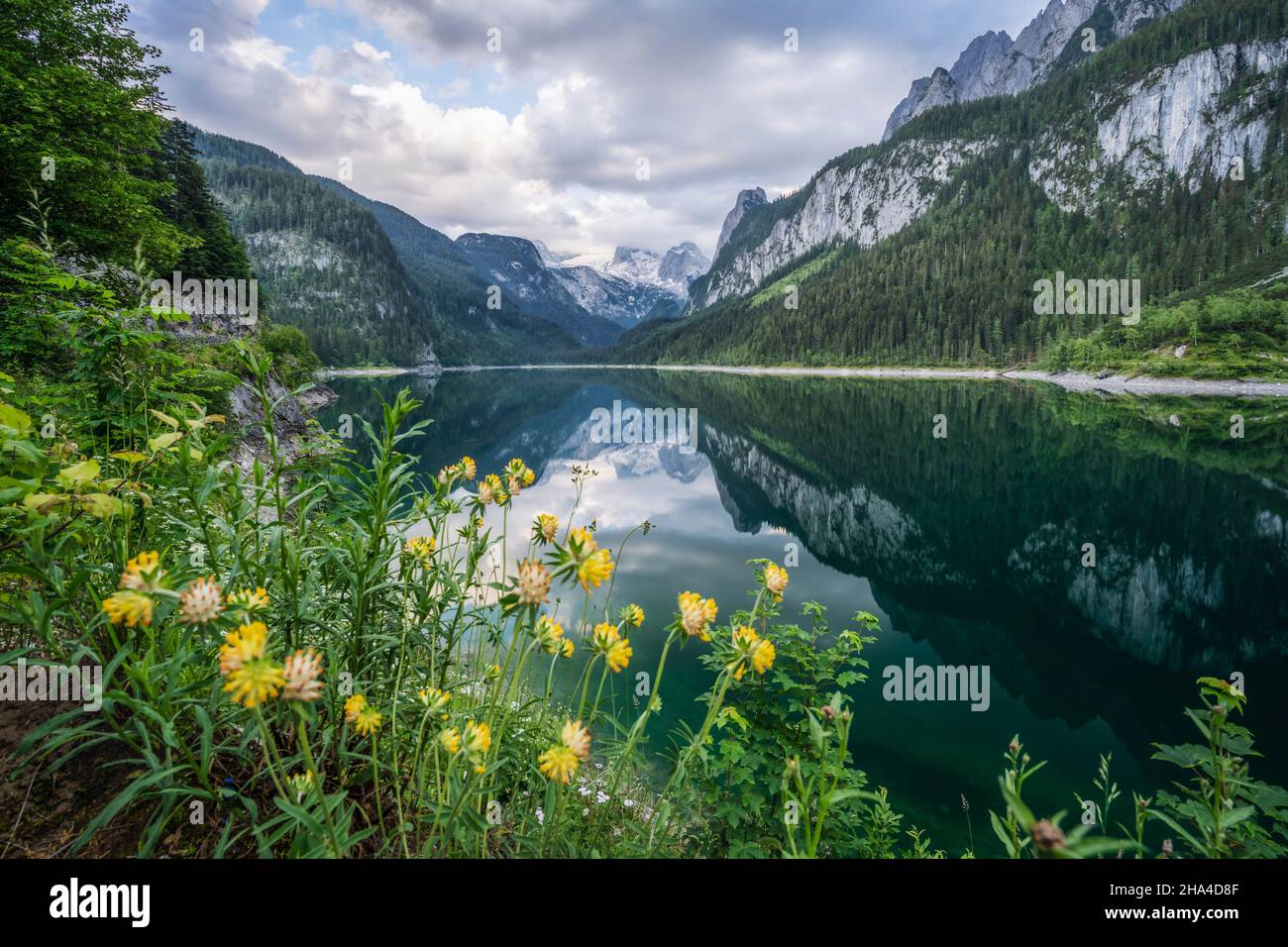 Dachstein spring gosau austria hi-res stock photography and images - Alamy