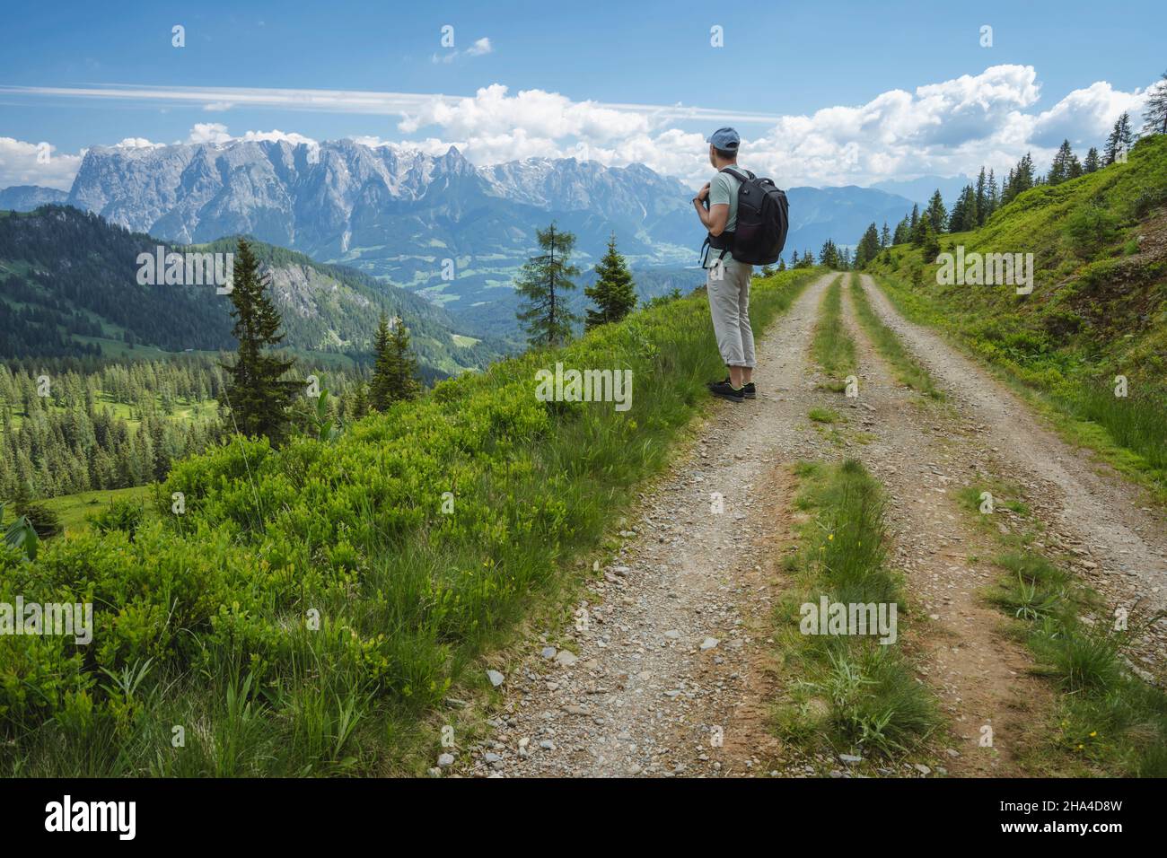 traveler man on hiking trail enjoying wilder kaiser mountains,tirol ...