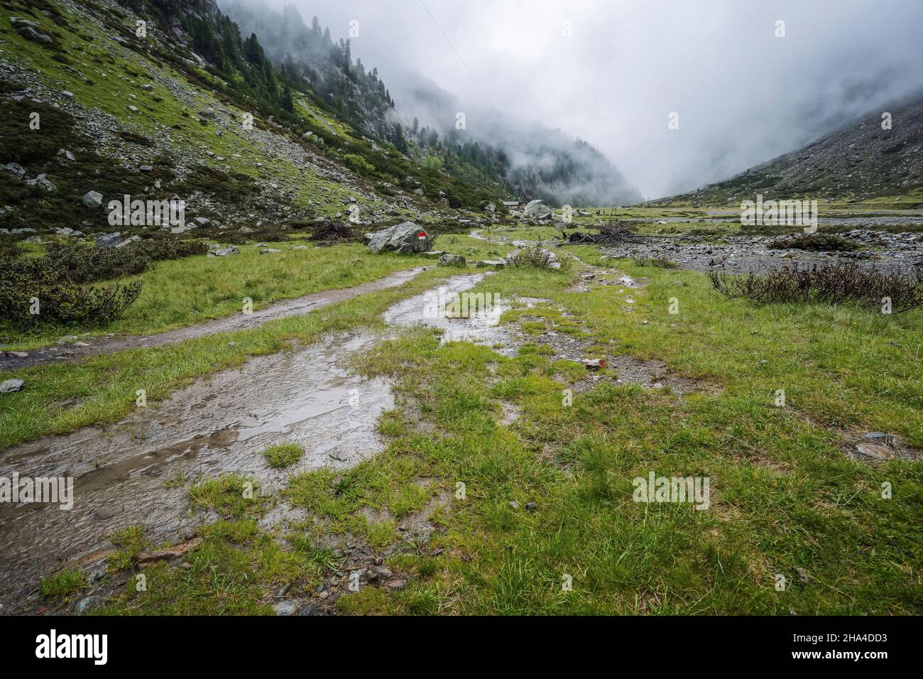summer view of alpine mountain valley with winding stream and glacial lake. sulzenau alm,stubai ...