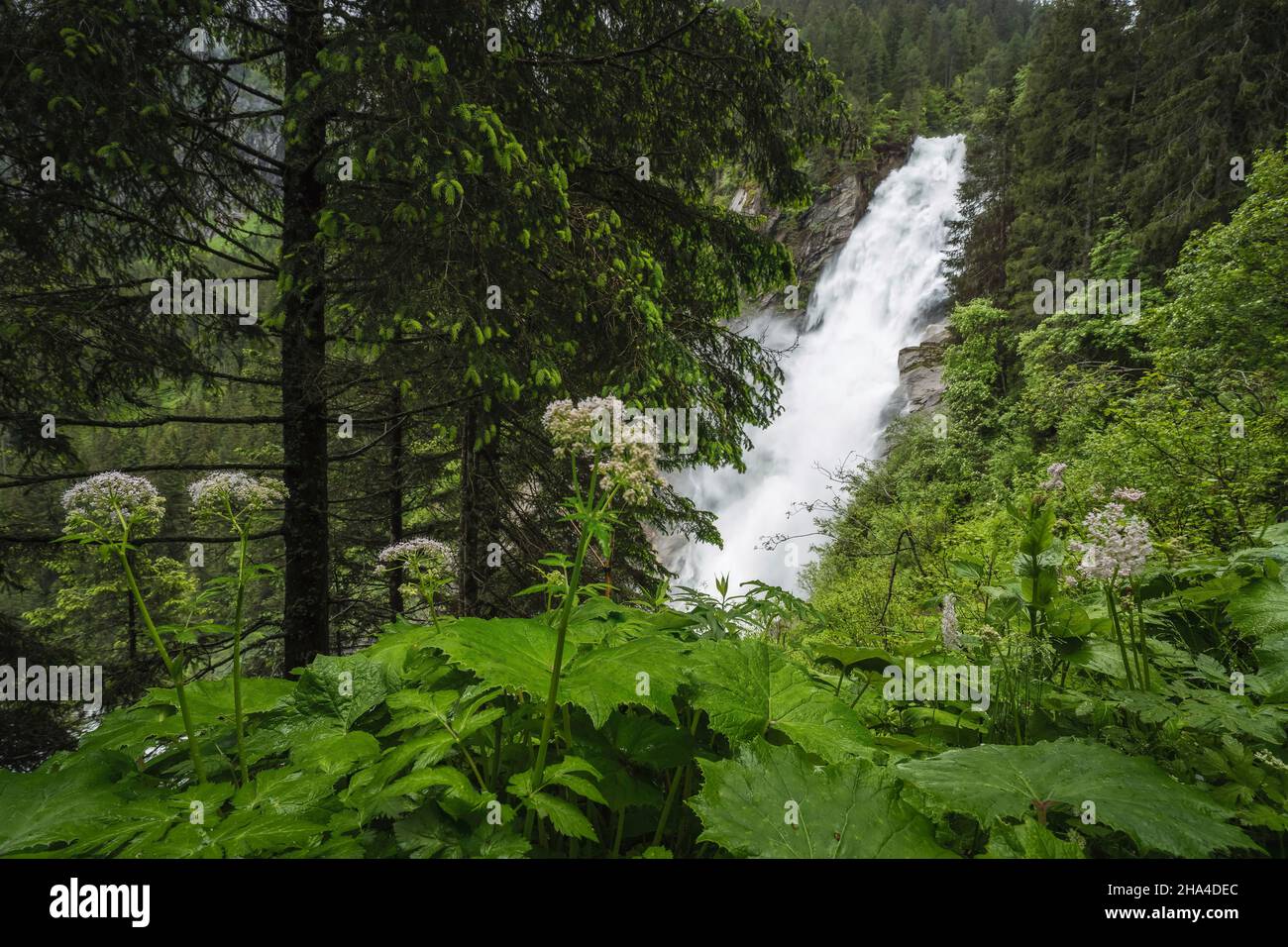 top of grawa waterfall with view to stubai valley,tyrol,austria Stock ...