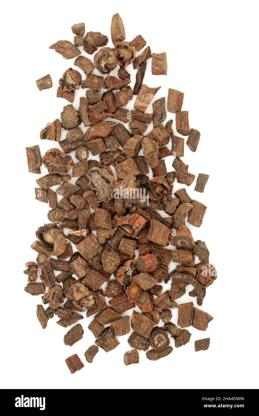 Red sage root herb used in traditional Chinese herbal plant medicine ...