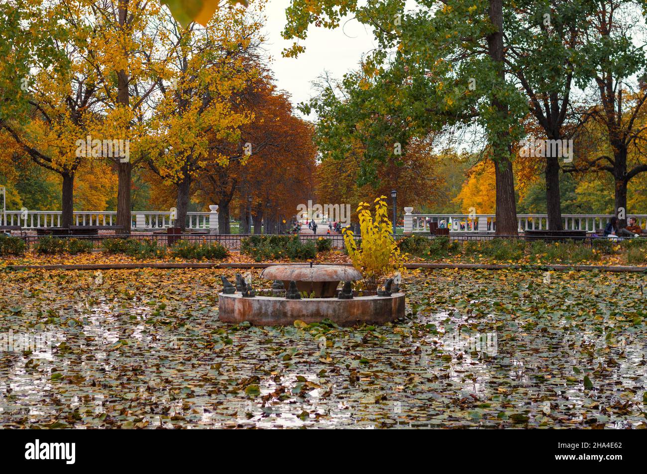 Beautiful water fountain in colorful autumn time covered with leaves ...