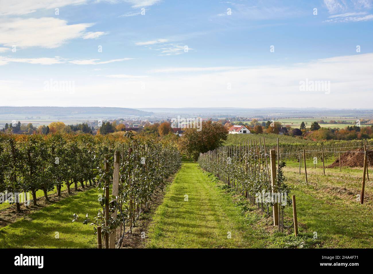 germany,lower saxony,landscape at evessen Stock Photo - Alamy