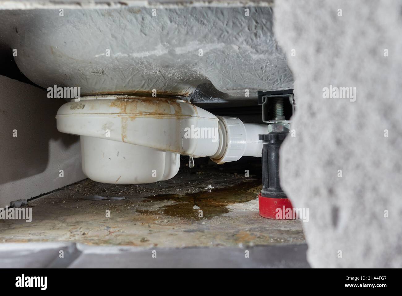Leaking siphon of a shower tray in the bathroom, causes water damage ...