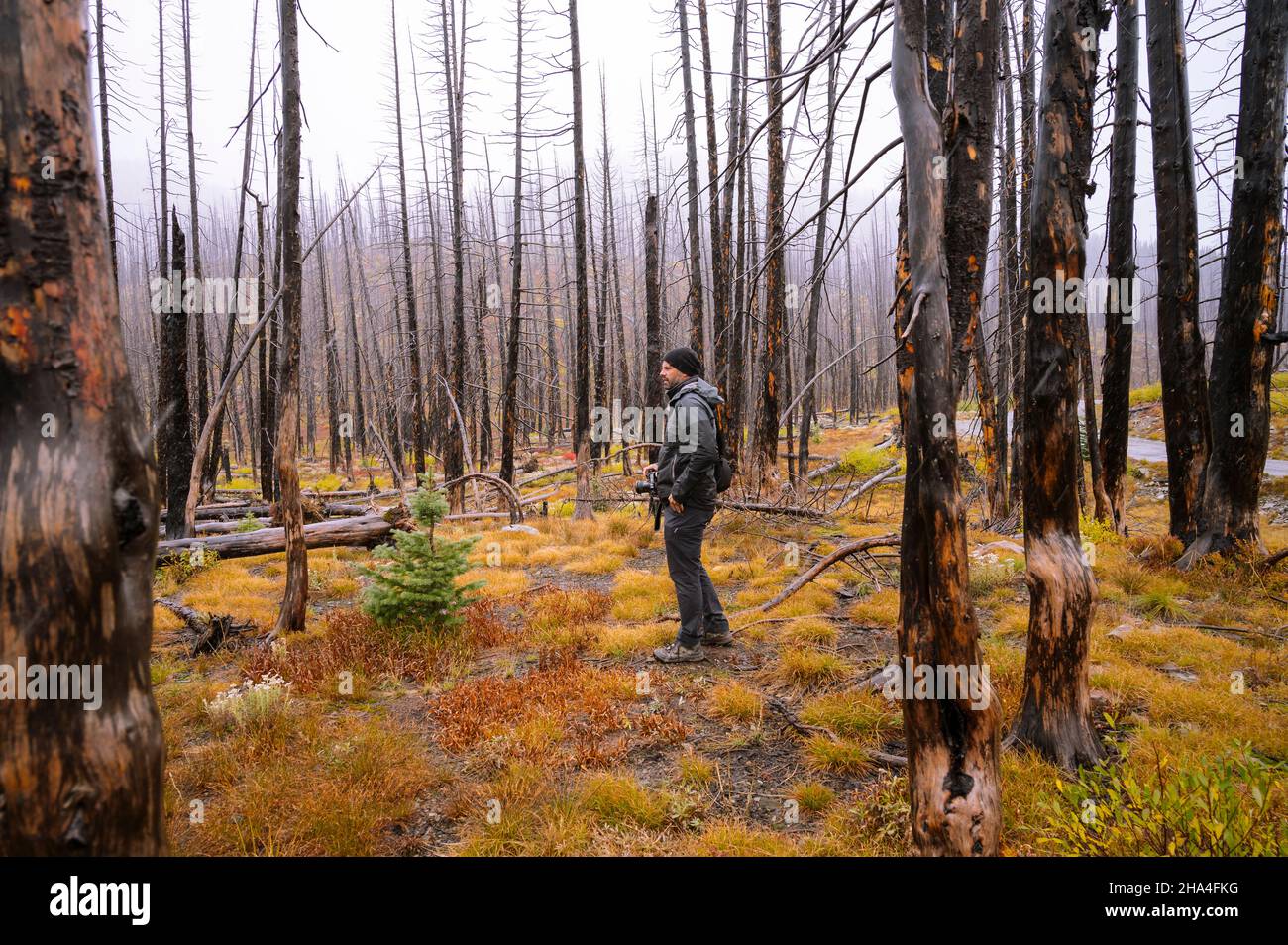 Guy hiking hi-res stock photography and images - Alamy