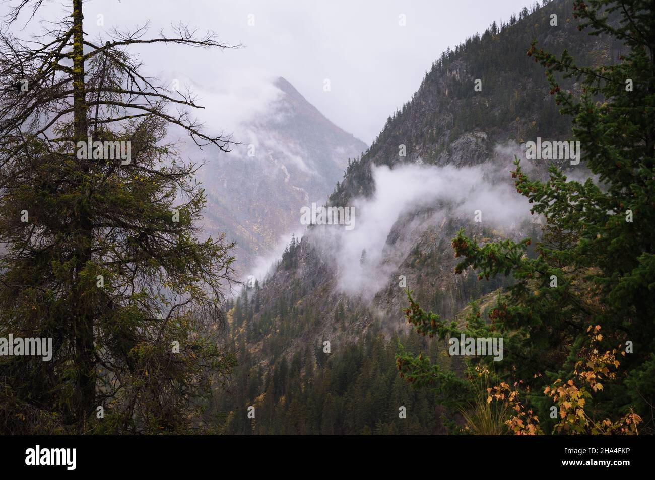 Fog rolling through hi-res stock photography and images - Alamy