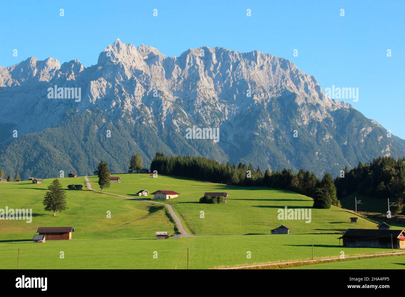 walk near mittenwald in the buckelwiesen,europe,germany,bavaria,upper ...