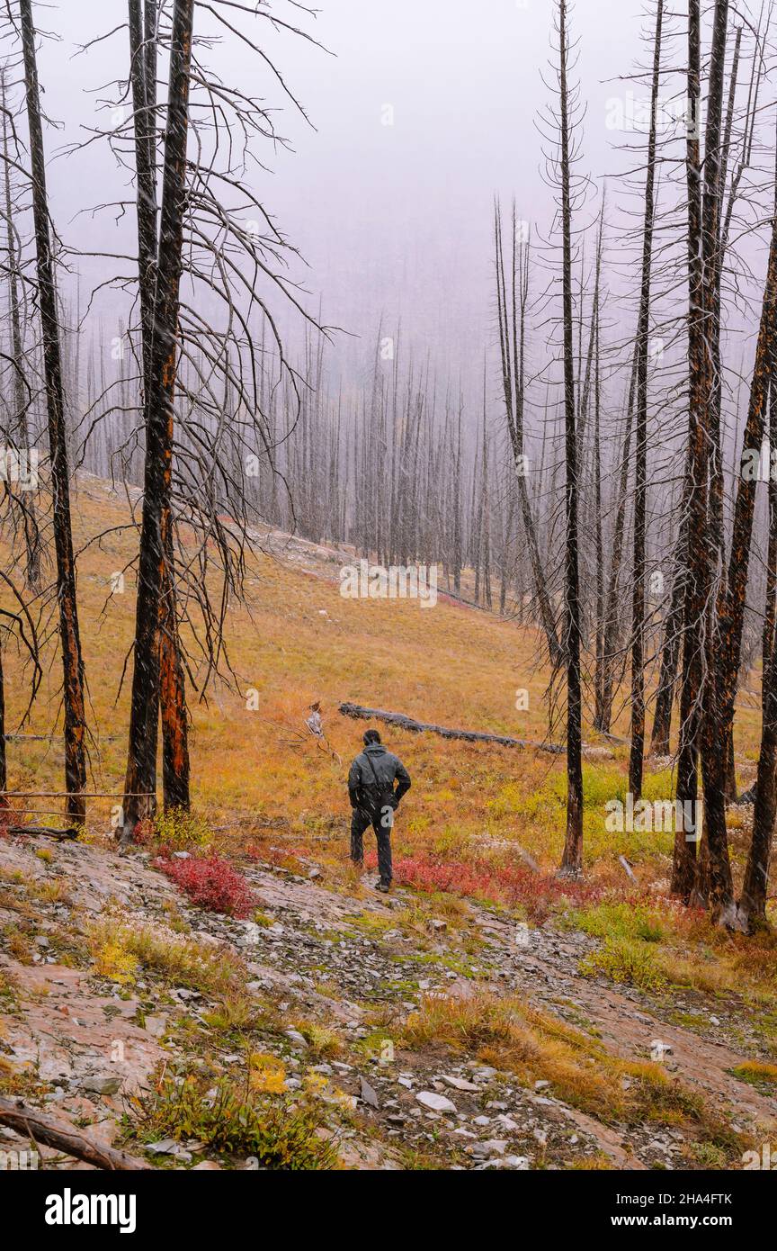 Walking through fire hi-res stock photography and images - Alamy