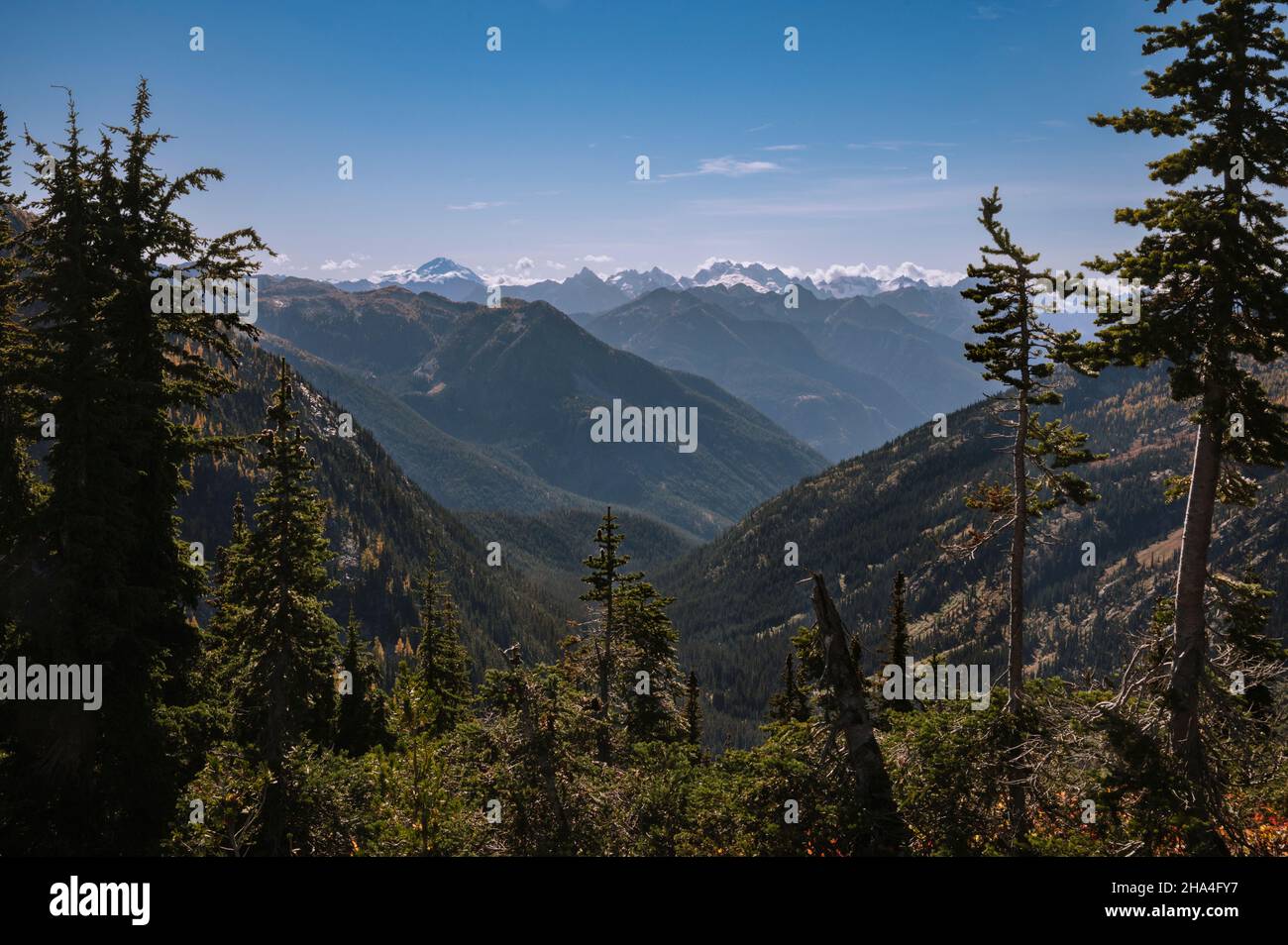 The north cascades mountains in summer Stock Photo - Alamy
