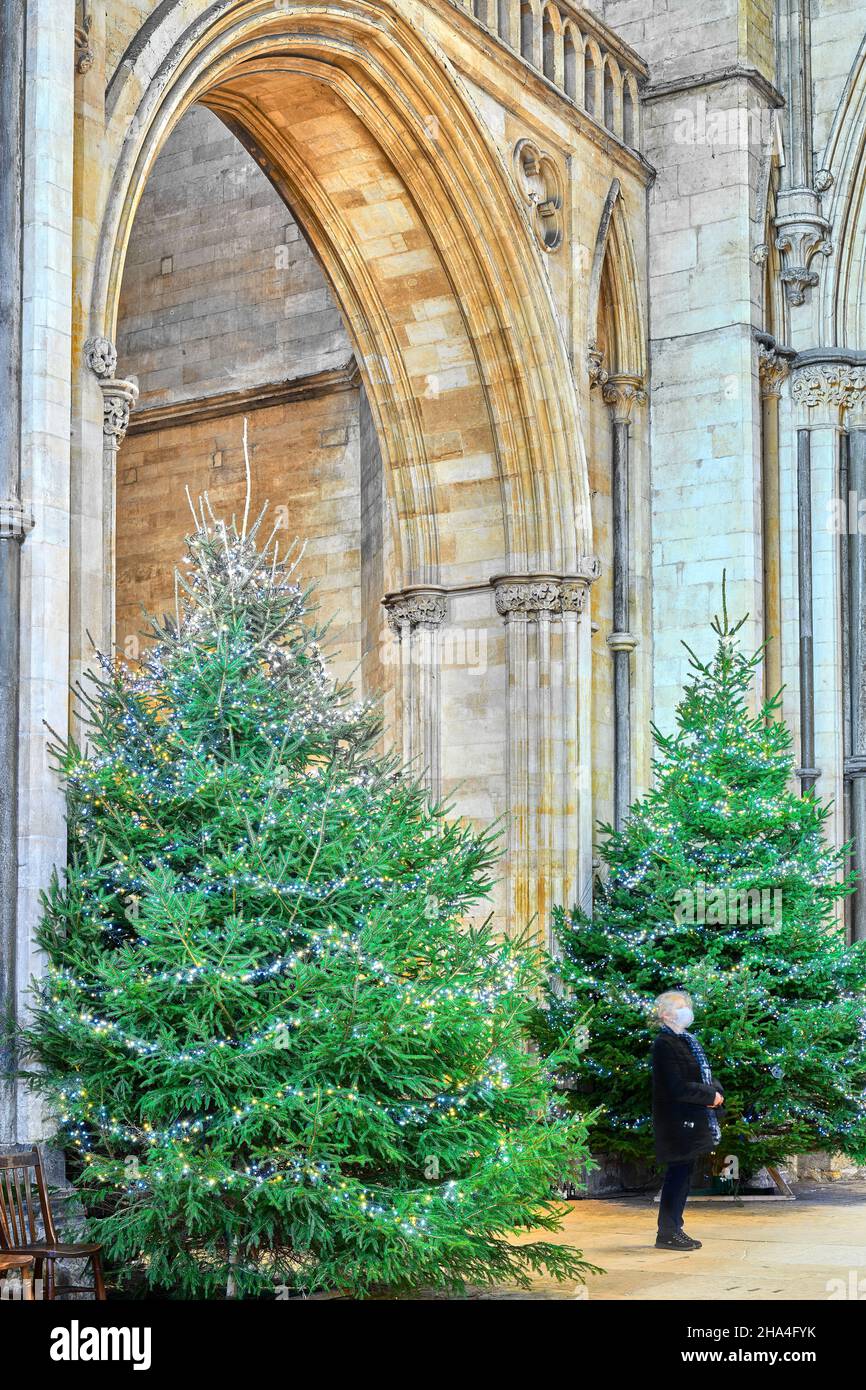 A pair of christmas trees with glittering lights inside the entrance to ...
