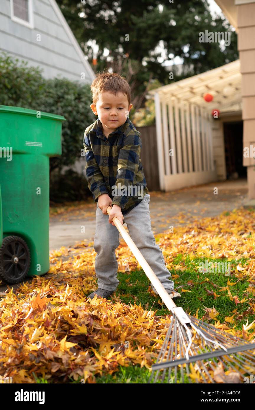 Young boy raking up leaves in yard Stock Photo - Alamy