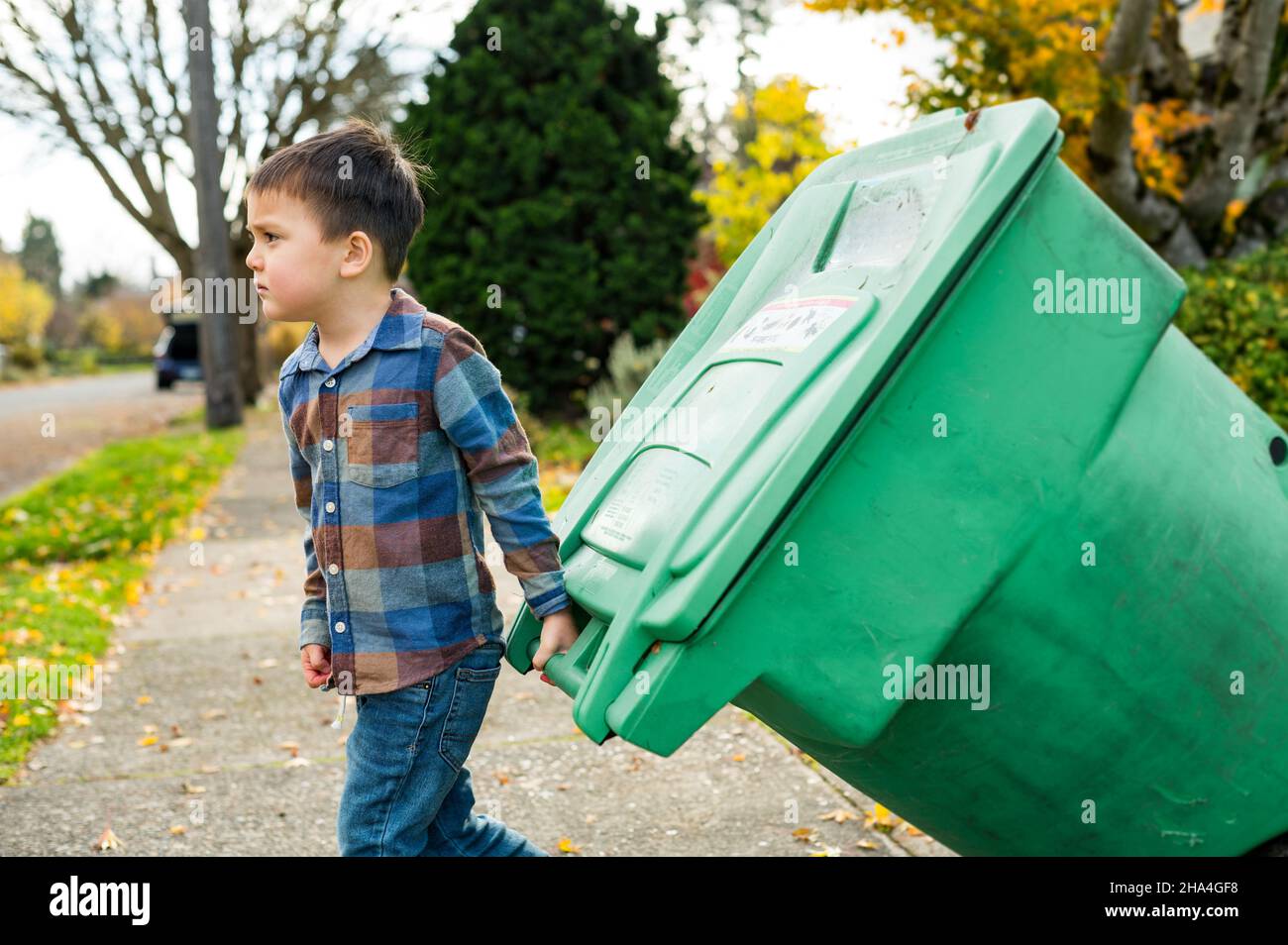 Boy pulling yard waste bin to sidewalk on street Stock Photo - Alamy