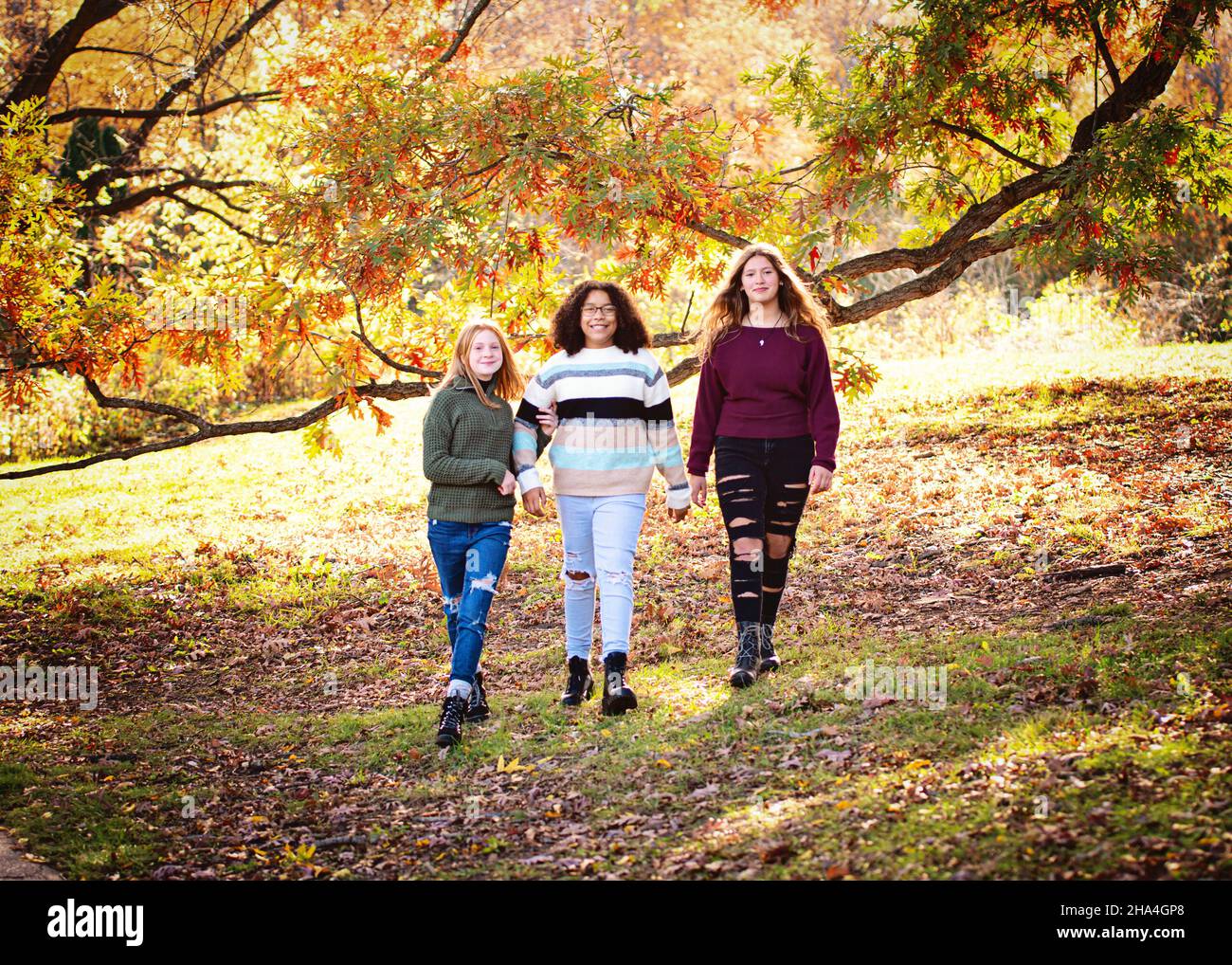 Three pretty tween girls laughing together outdoors in fall colors ...