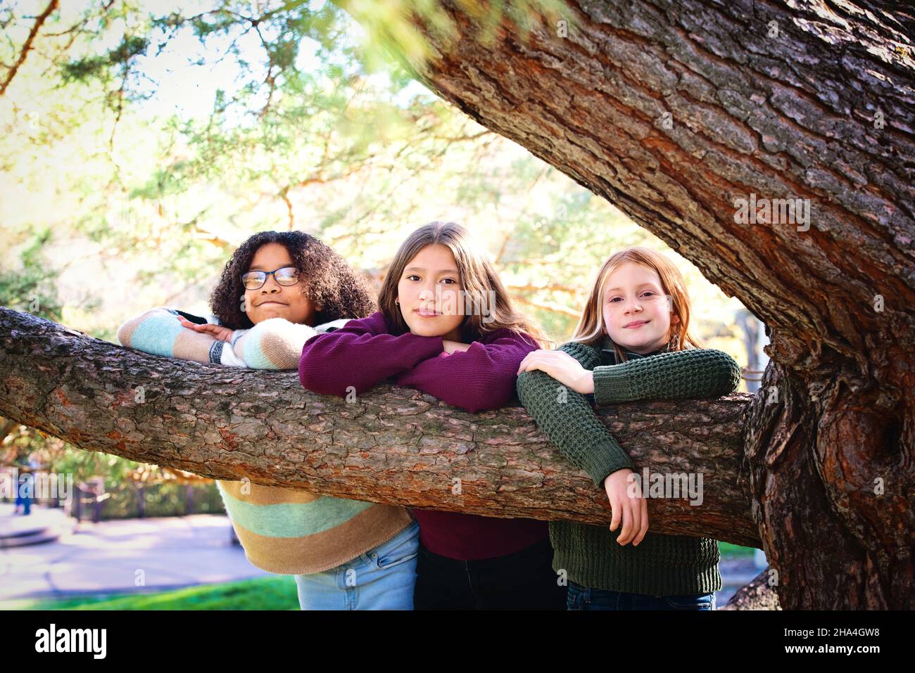 Three pretty tween girls laughing together outdoors in fall colors ...