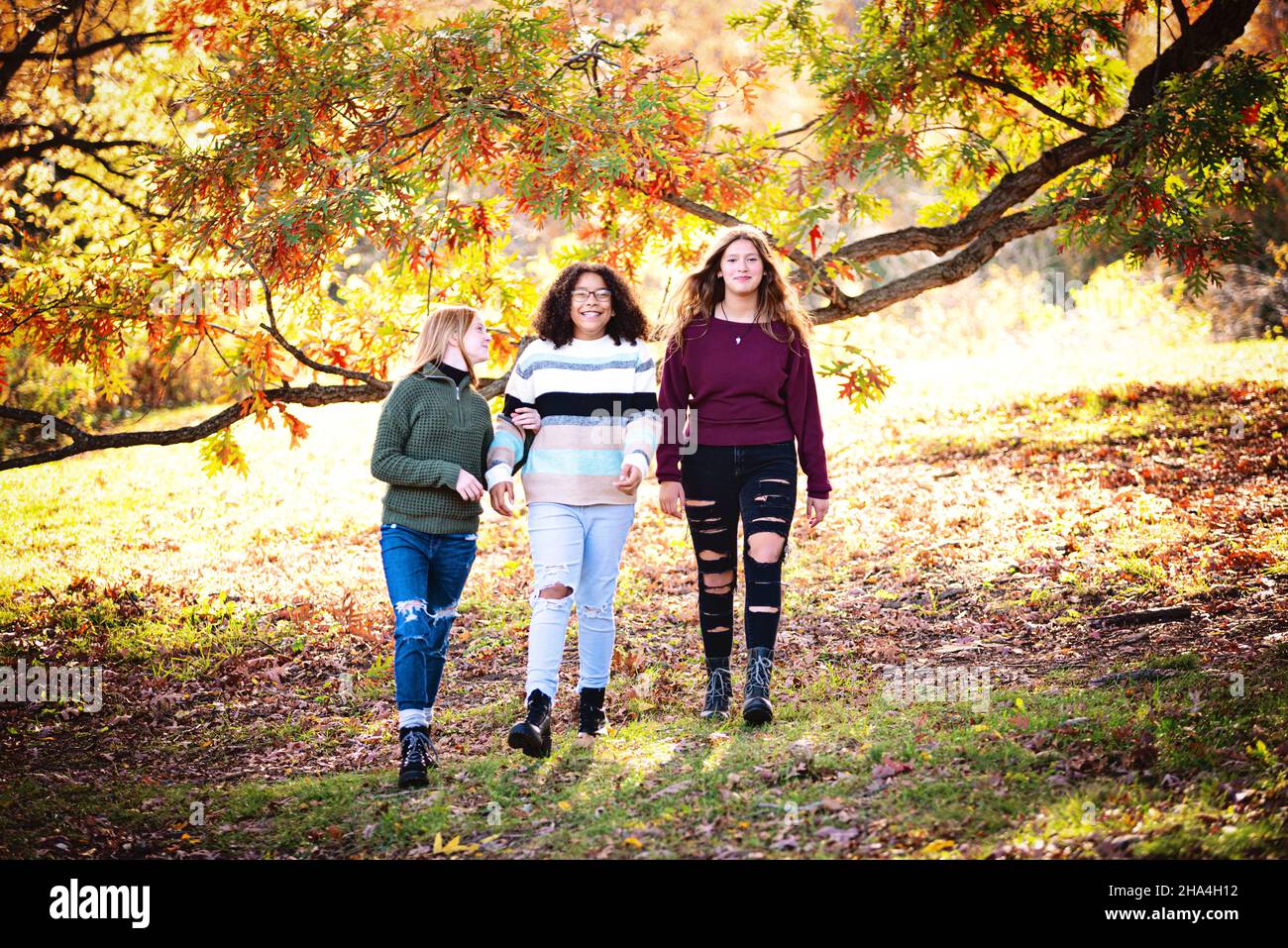 Three pretty tween girls laughing together outdoors in fall colors ...