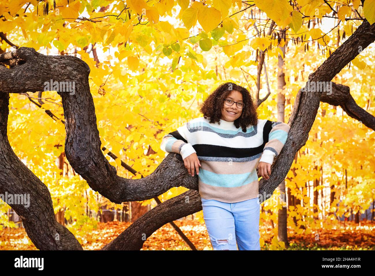 Pretty tween girl in sweater by a tree outdoors in fall colors Stock ...