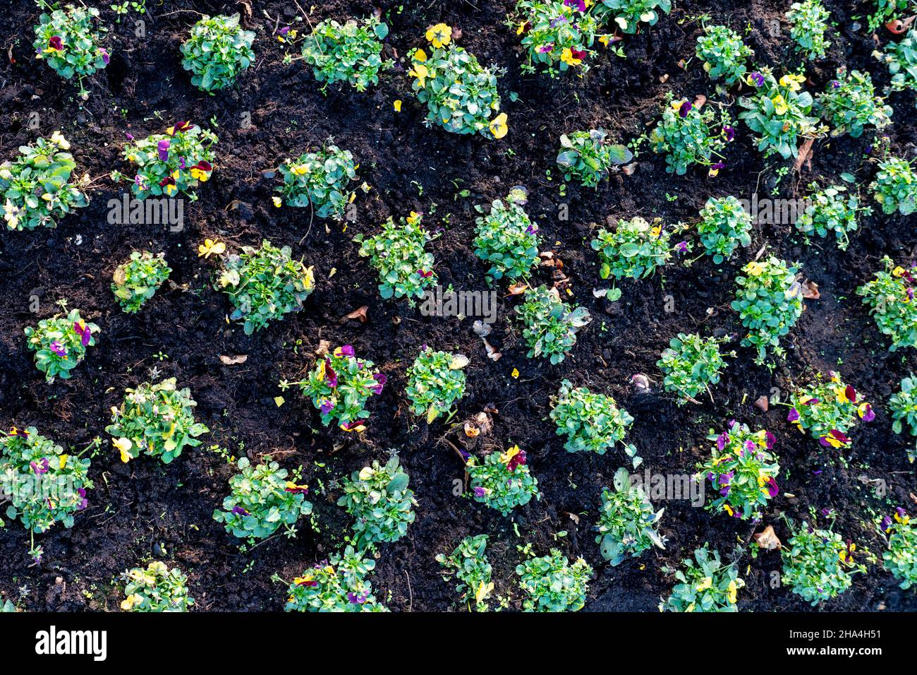 Parterre aerial hi-res stock photography and images - Alamy
