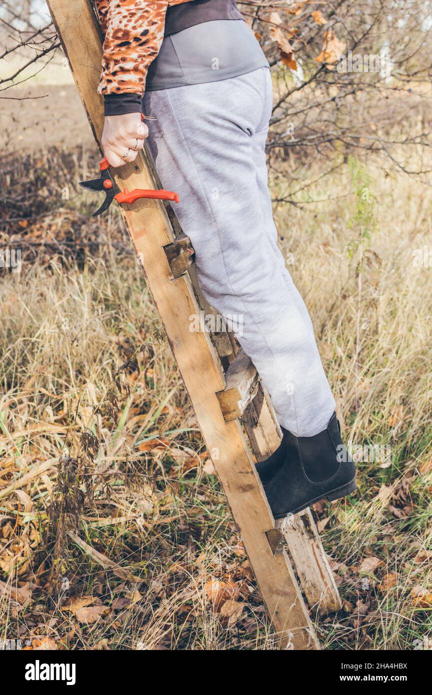 Climb ladder hi-res stock photography and images - Alamy