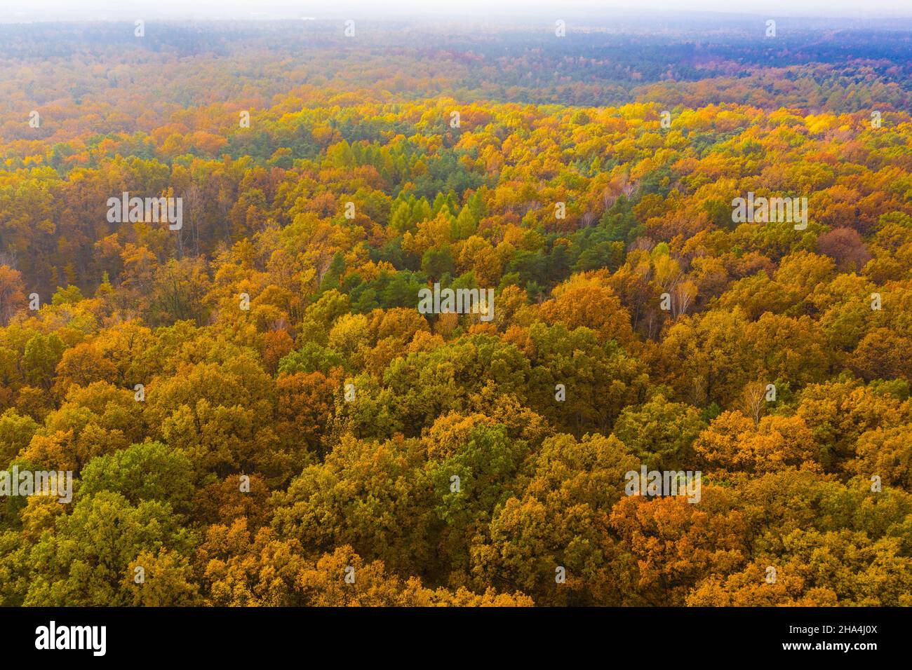 Aerial trees colors hi-res stock photography and images - Alamy