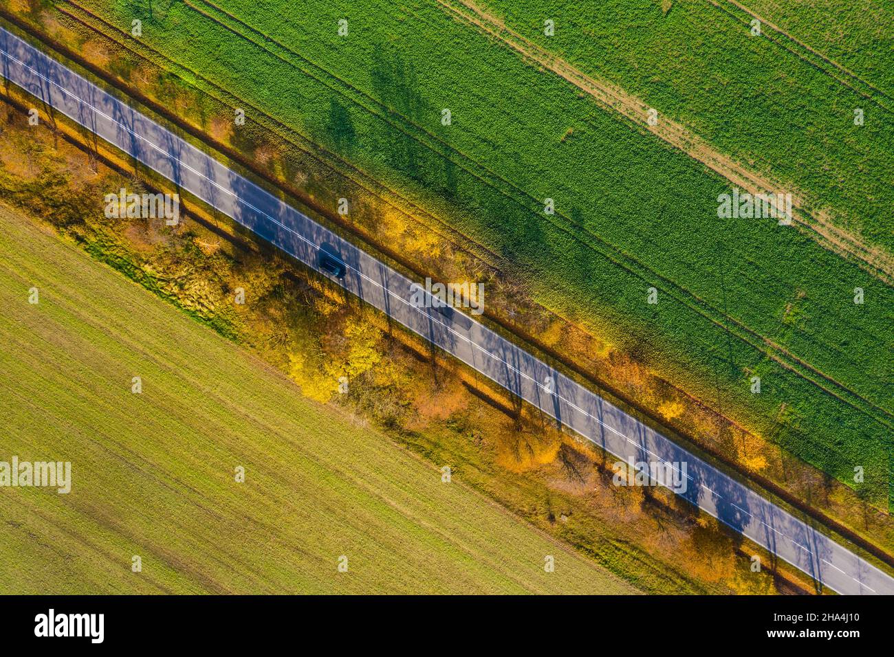 Aerial view of road in beautiful autumn forest at sunset. Beautiful ...