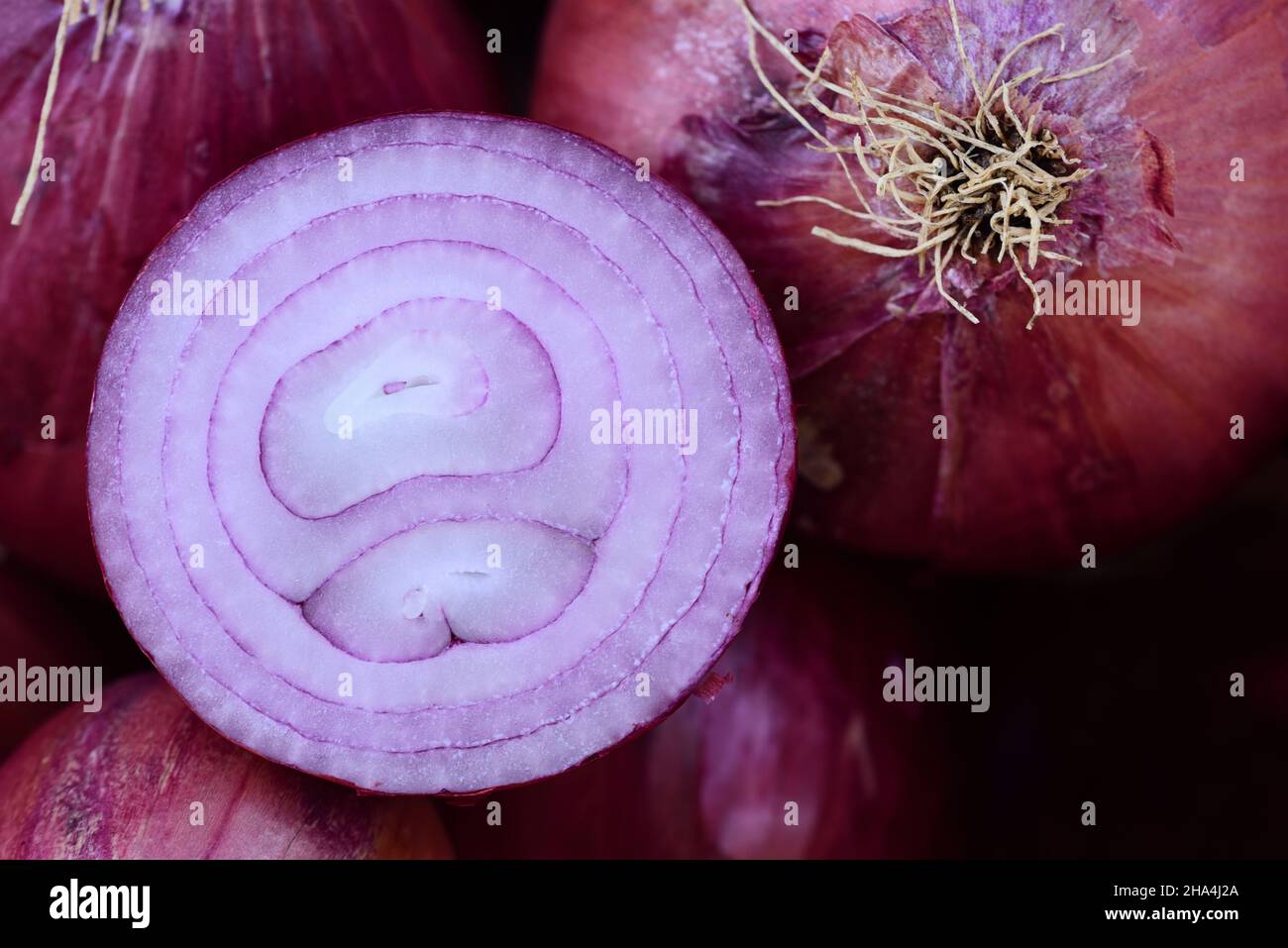 A red ripe onion lies cut open on closed onions. You can see the onion ...