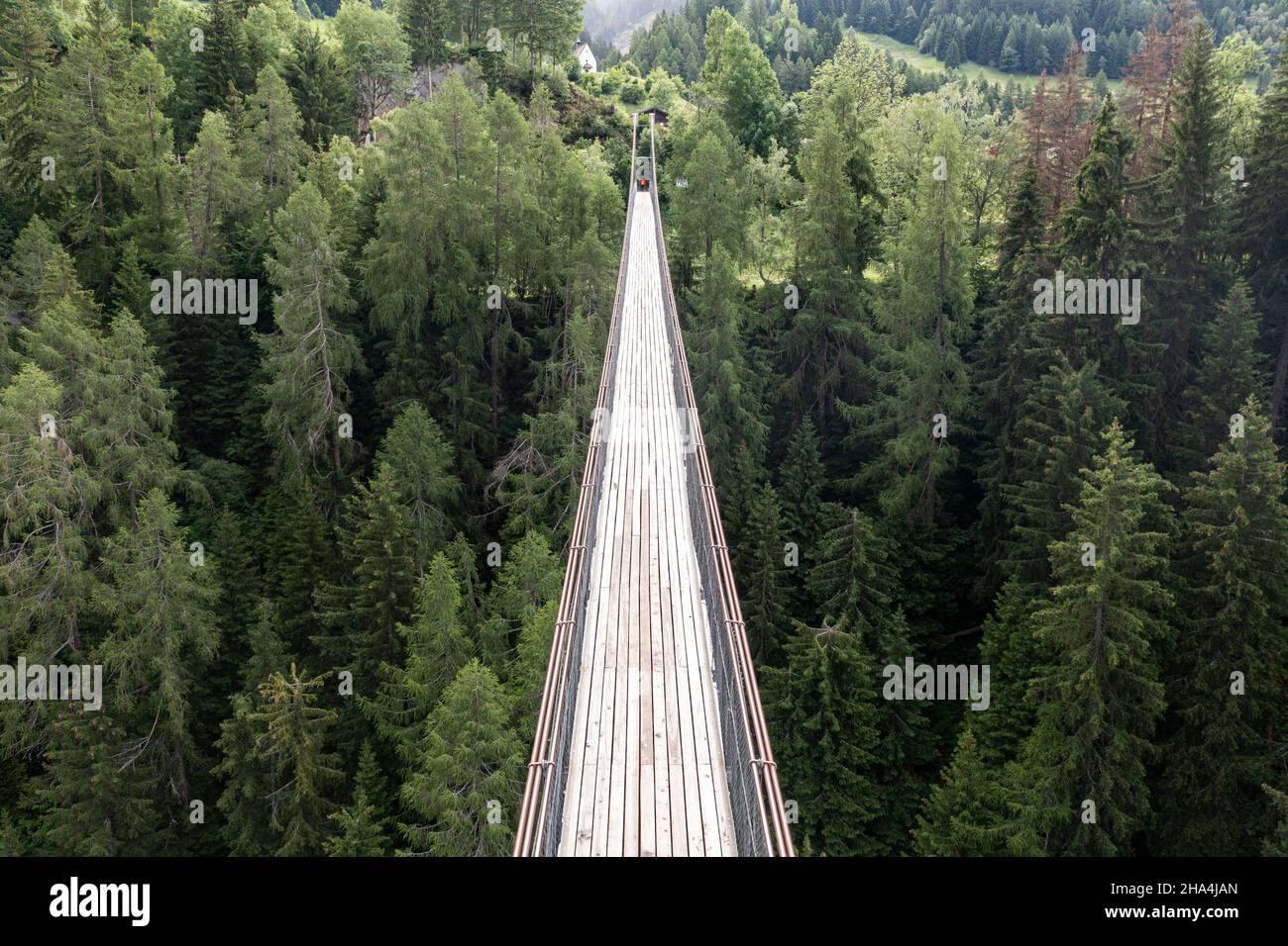 suspension bridge over forest from aerial view Stock Photo - Alamy