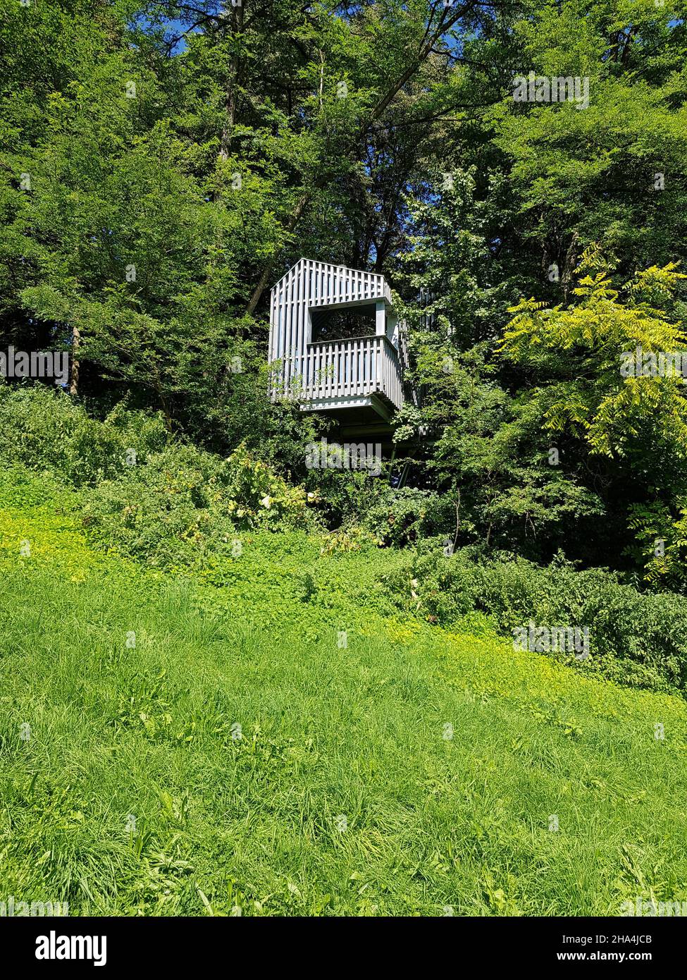 tree house on neuhofener berg,sendlinger park,sendling district. at the ...