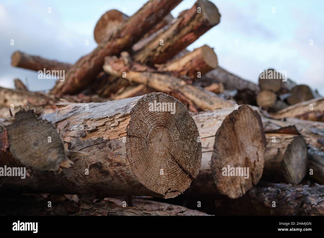 Sustainable timber used hi-res stock photography and images - Alamy